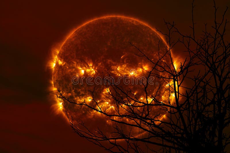 Halloween Sun Back Silhouette Tree and Night Sky Stock Image - Image of ...
