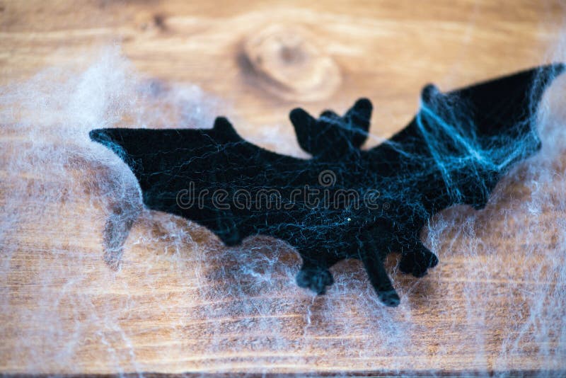 Halloween Symbols Bat in Spiders Web Stock Photo - Image of fall ...