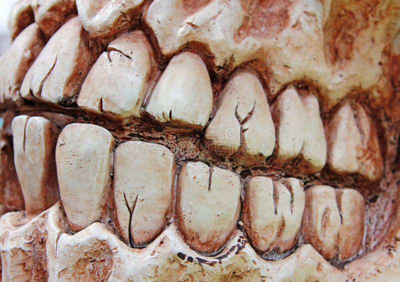 Halloween Teeth stock photo. Image of skull, costume - 15615254