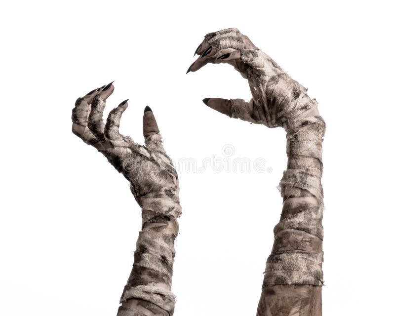 Halloween Theme: Terrible Old Mummy Hands on a White Background Stock ...