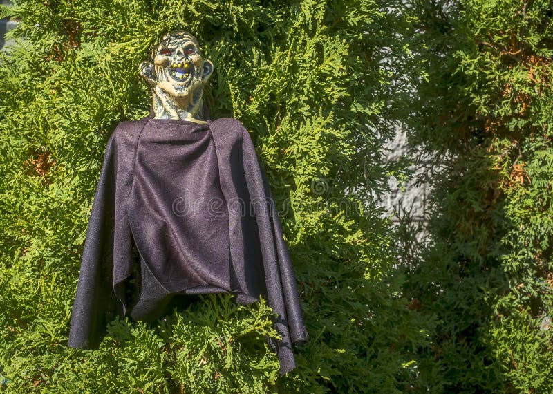 Halloween Walking Dead on a Tree Stock Photo - Image of dead, escape ...