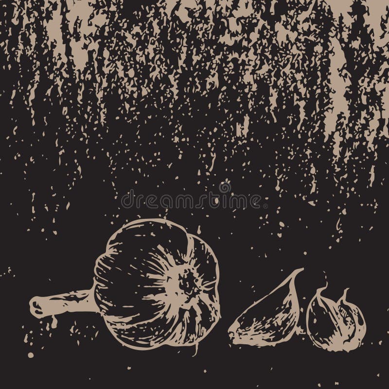 Garlic on White Background, Black and Cream. Stock Vector ...