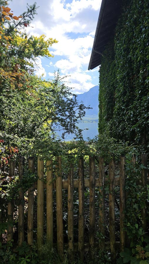 Hallstatt, Austria stock image. Image of hallstatt, flower - 346350053