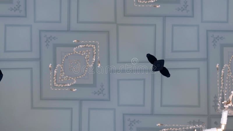 Hallucinations and Visual Effects, Dream and Fantasy, Psychedelic and ...