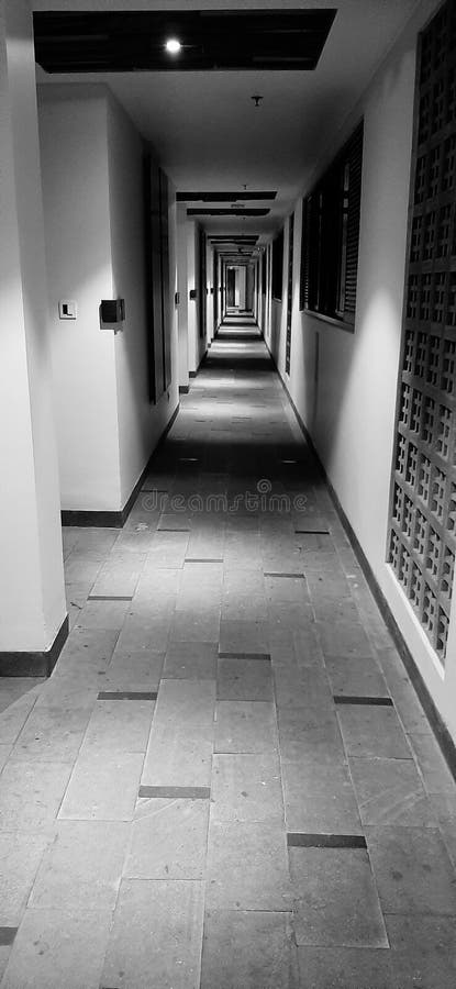 Long Path in Forest Full of Fallen Autumn Leaves Stock Image - Image of ...