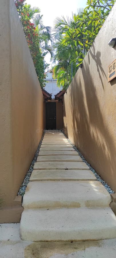 Hallway stock photo. Image of passageway, road, wood - 265817970