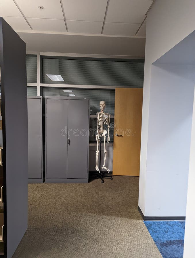 1,311 Science Flooring Stock Photos - Free & Royalty-Free Stock Photos ...