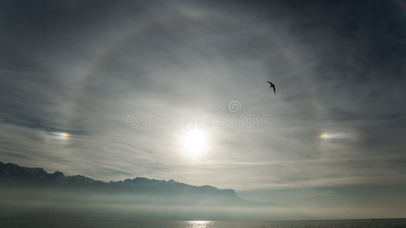 Halo effect stock photo. Image of light, nature, round - 48259926
