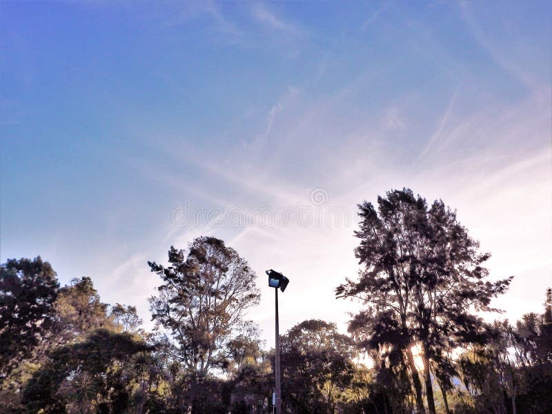 Halogen Street Light stock photo. Image of illuminated - 92590834