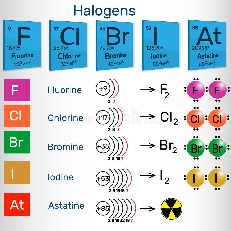 Halogene Chemische Elemente Des Periodensystems Vektor Abbildung ...