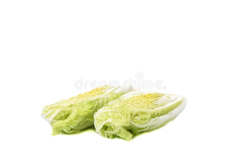 384 Petsai Cabbage Stock Photos - Free & Royalty-Free Stock Photos from ...