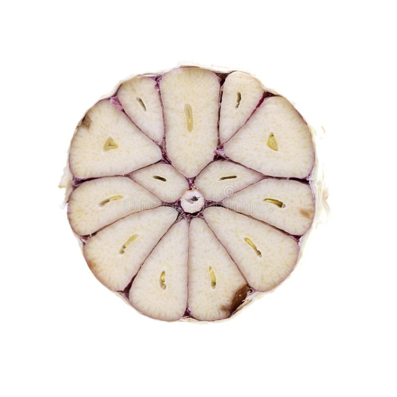 1,019 Garlic Cross Section Stock Photos - Free & Royalty-Free Stock ...