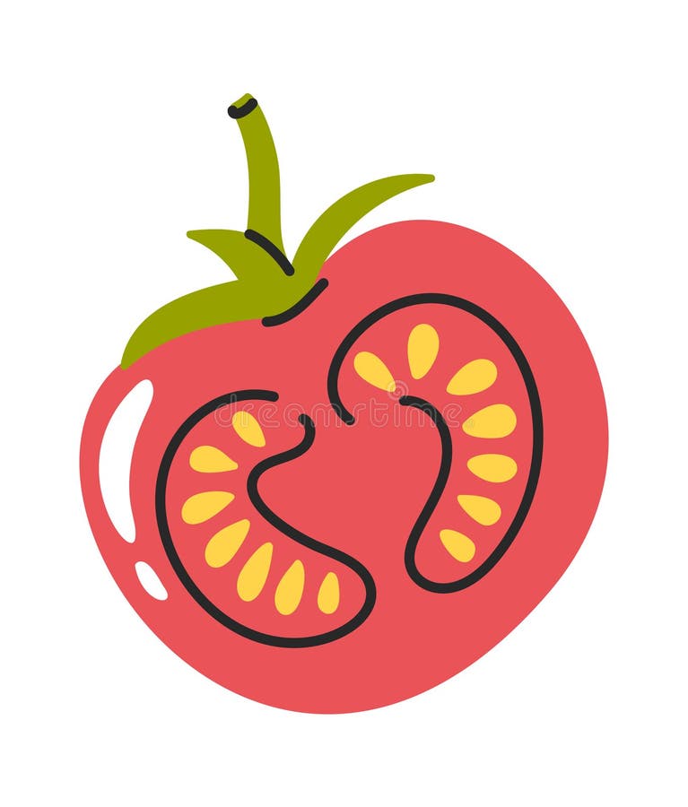 Halved Tomato Hand Drawn Vegetable Stock Illustration - Illustration of ...