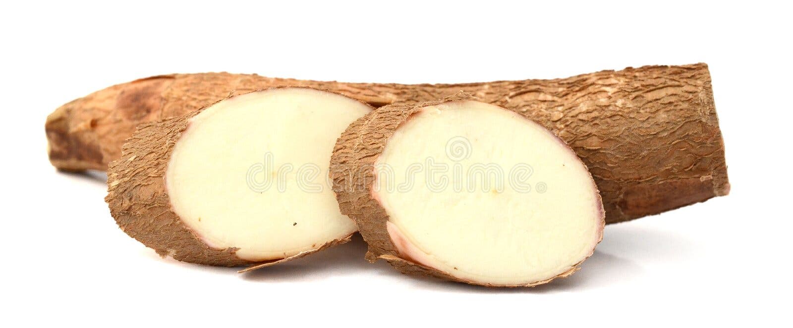 Yuca. stock photo. Image of normal, nourriture, simple - 141727656