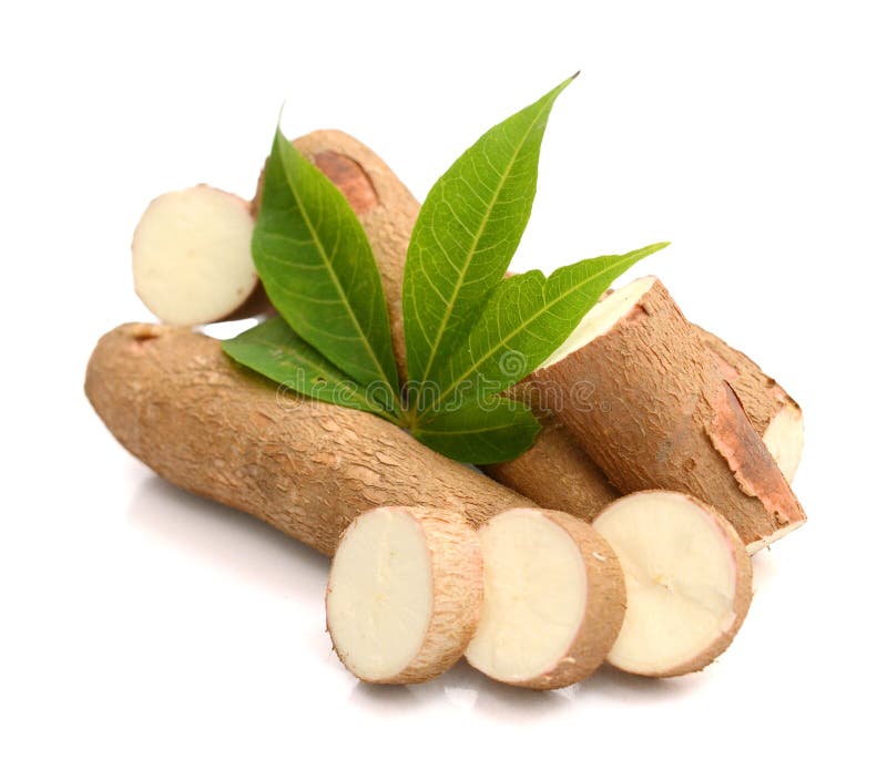 Halved Yuca Root stock image. Image of roots, ancient - 99158759