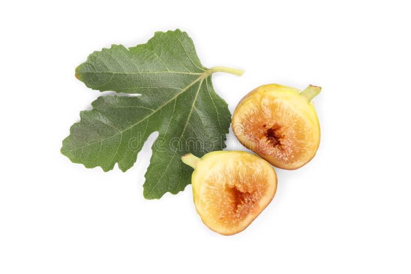 Halves of Tasty Fig with Leaf Isolated on White, Top View Stock Image ...