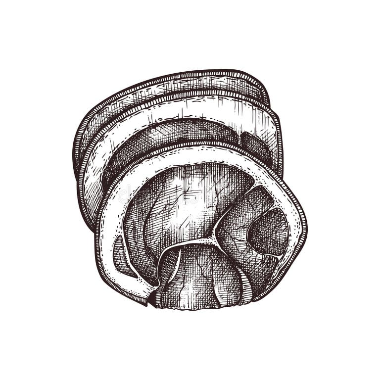 Vector Illustration of Hand Drawn Ham. Engraved Style Food Drawing ...