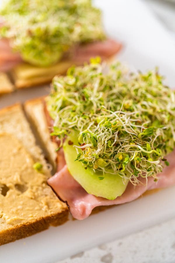 Ham, Cucumber, and Sprout Sandwich Stock Photo - Image of yeast, seeds ...