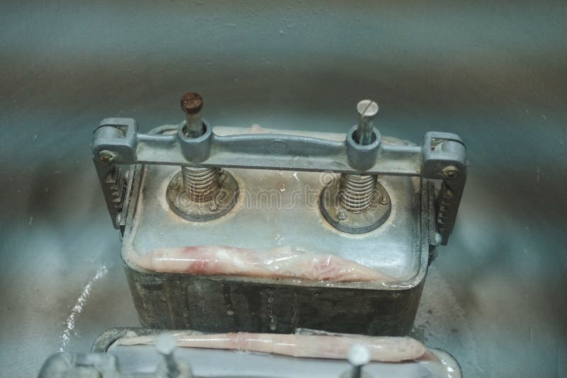 Ham Making Machine in Meat Processing Plant Stock Image - Image of food ...