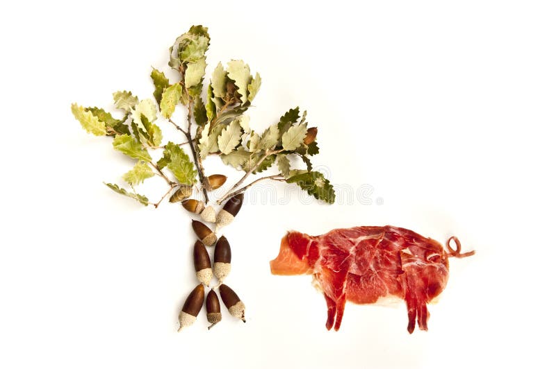 Ham and tree stock image. Image of spain, acorn, tree - 54430799