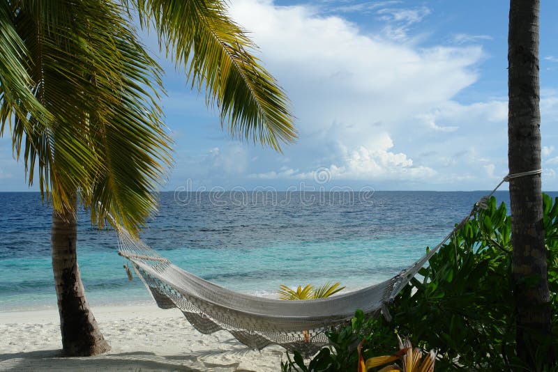 Hamac photo stock. Image du ressource, bleu, océan, détente - 1715786