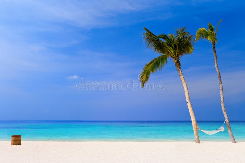 Hamac de plage tropical image stock. Image du île, océan - 9457245