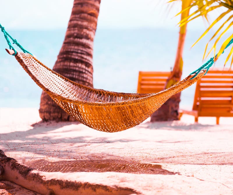 Belle Plage Hamac Entre Deux Palmiers Sur La Plage Concept De Vacances ...