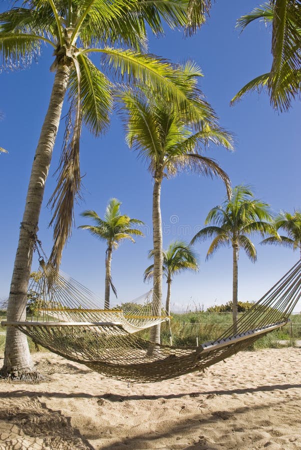 4,106 Photos de Hamacs - Photos de stock gratuites et libres de droits ...