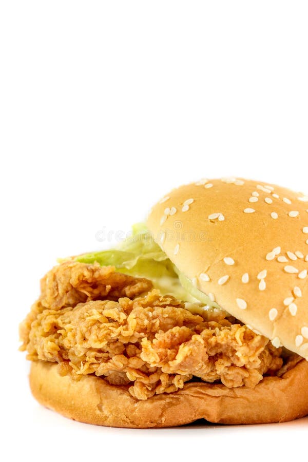 Hamberger Fried Chicken Close Up Stock Photo - Image of isolate ...