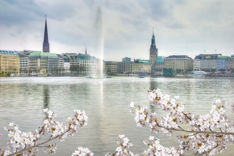 Hamburg in springtime stock photo. Image of almond, building - 92415048