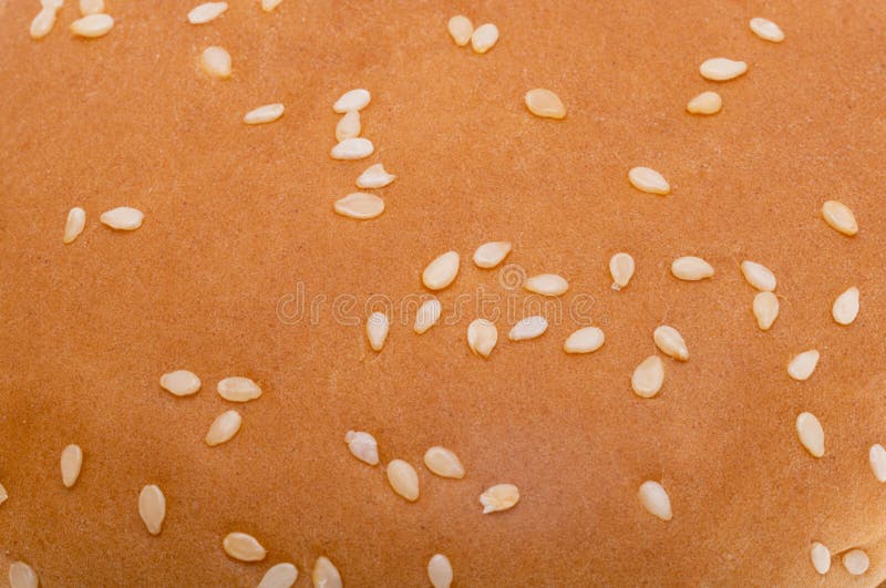 Hamburger Bun Background with Sesame Macro Stock Image - Image of ...