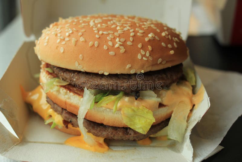 Hamburger in a carton box stock image. Image of bread - 64504215