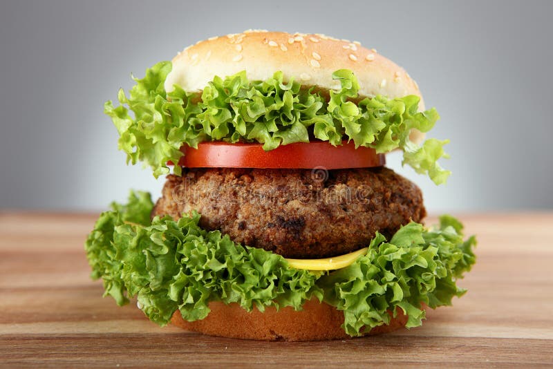 Hamburger stock photo. Image of unhealthy, seeds, cholesterol - 52807172