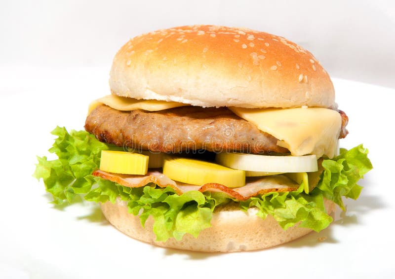 Hamburger8 stock image. Image of looks, hamburger8, advertising - 40315129