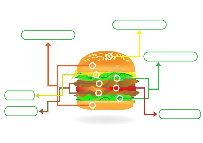 Sandwich Burger Hamburger Ingredients Structure Stock Vector ...