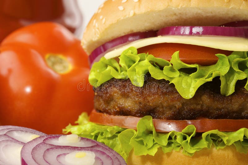Hamburger with ingredients stock photo. Image of hamburger - 9802450