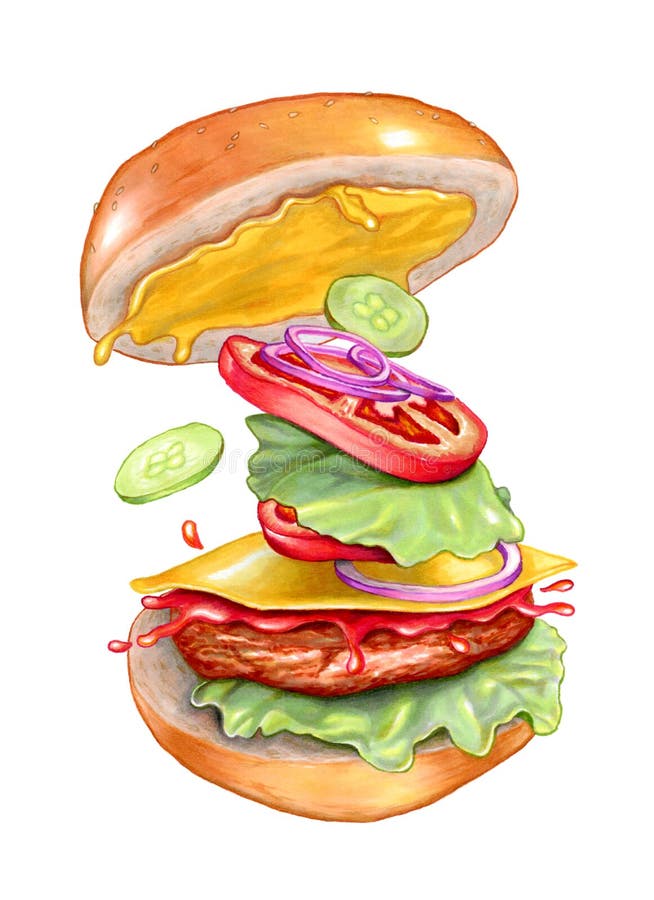 Hamburger Ingredient Layers Stock Illustration - Illustration of food ...