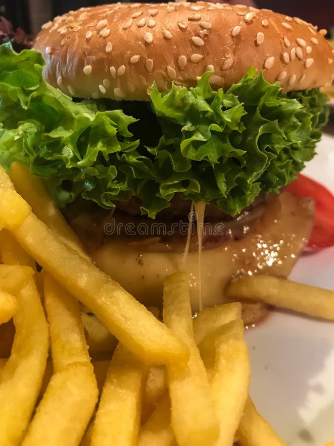 Hamburger Junk-Food with Fries Stock Image - Image of delicious ...