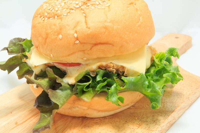 Layers of a hamburger stock image. Image of ingredients - 94735851