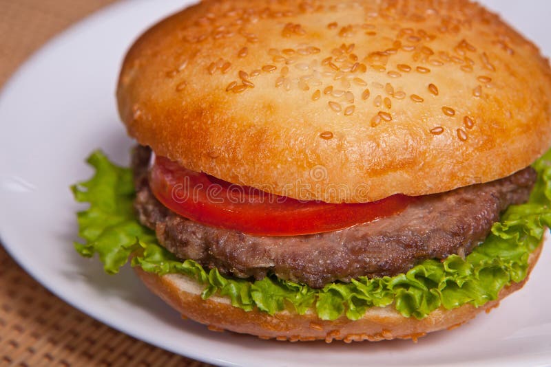Hamburger on a plate stock image. Image of closeup, slice - 23788825