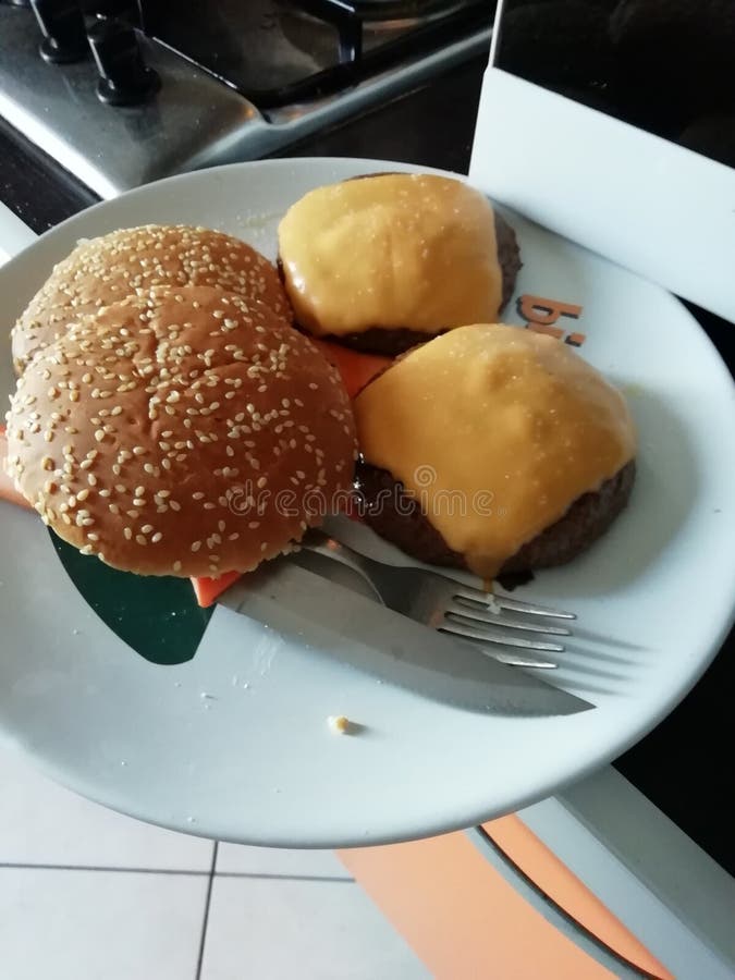 Hamburger in plate stock photo. Image of restaurant - 209152402