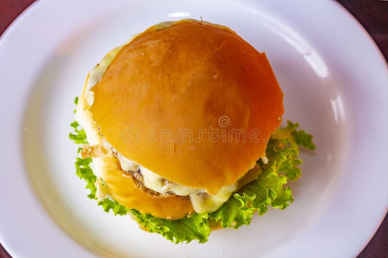 Hamburger on a Plate - View from the Top Stock Image - Image of dinner ...