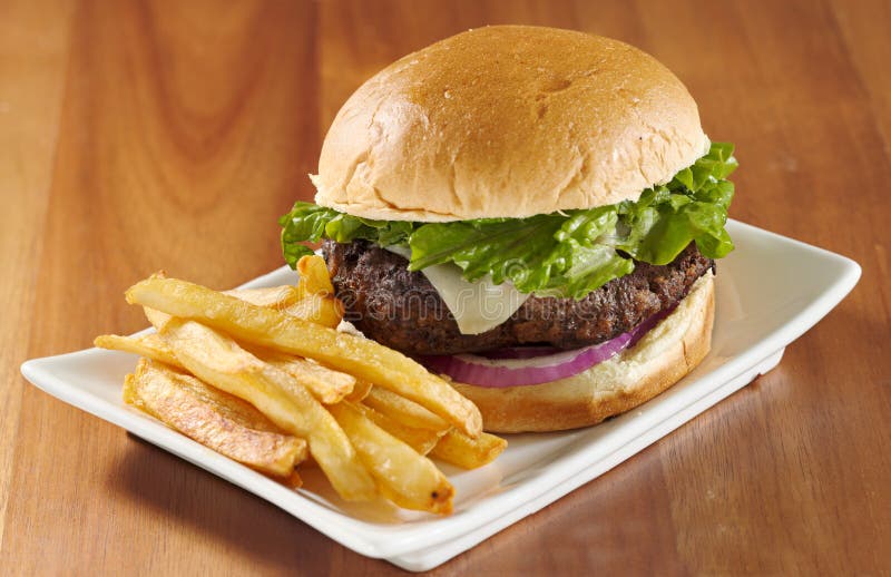 Hamburger Plated with Fries. Stock Image - Image of selective, burger ...