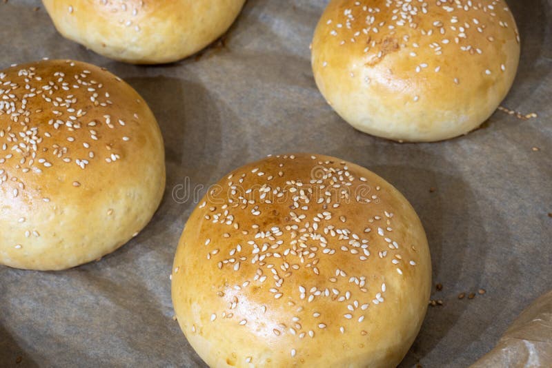 Hamburger Roll. Burger Rolls on Protvin. Ready-made Round Rolls with ...