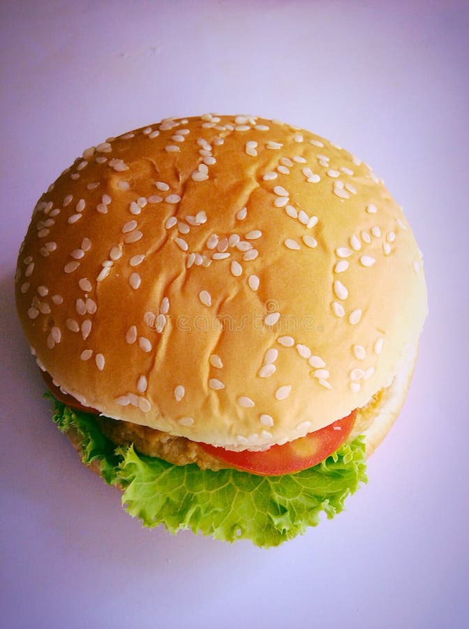 Hamburger editorial photography. Image of macro, hamburger - 42586737