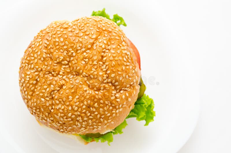 Hamburger Bun. View from the Top Stock Image - Image of porous, macro ...