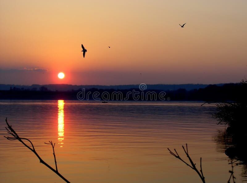 Hamilton Bay stock image. Image of cloud, seagull, night - 162397
