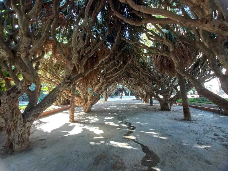 Hamma Scientific Experiments Park Stock Photos - Free & Royalty-Free Stock Photos from Dreamstime