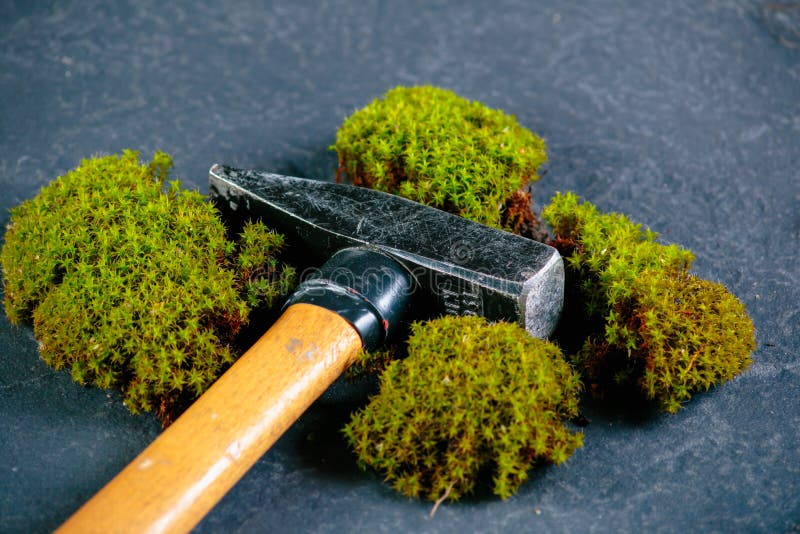 Hammer in Green Moss on Granite Stock Photo - Image of elegance ...