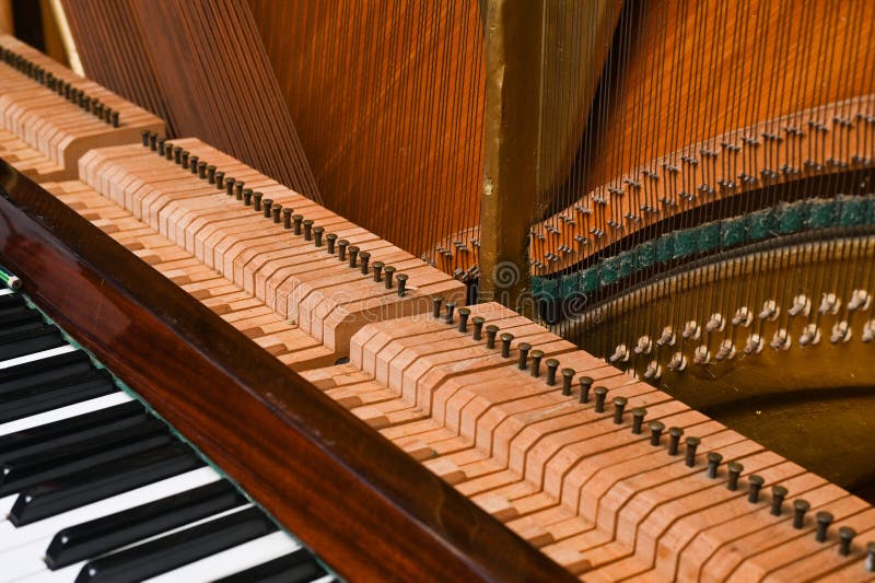 The Hammer Mechanics of the Piano. Hammers, Strings, Piano Keyboard ...
